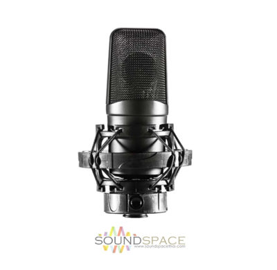 ไมโครโฟนบันทึกเสียง ART C2 Condenser Microphone
